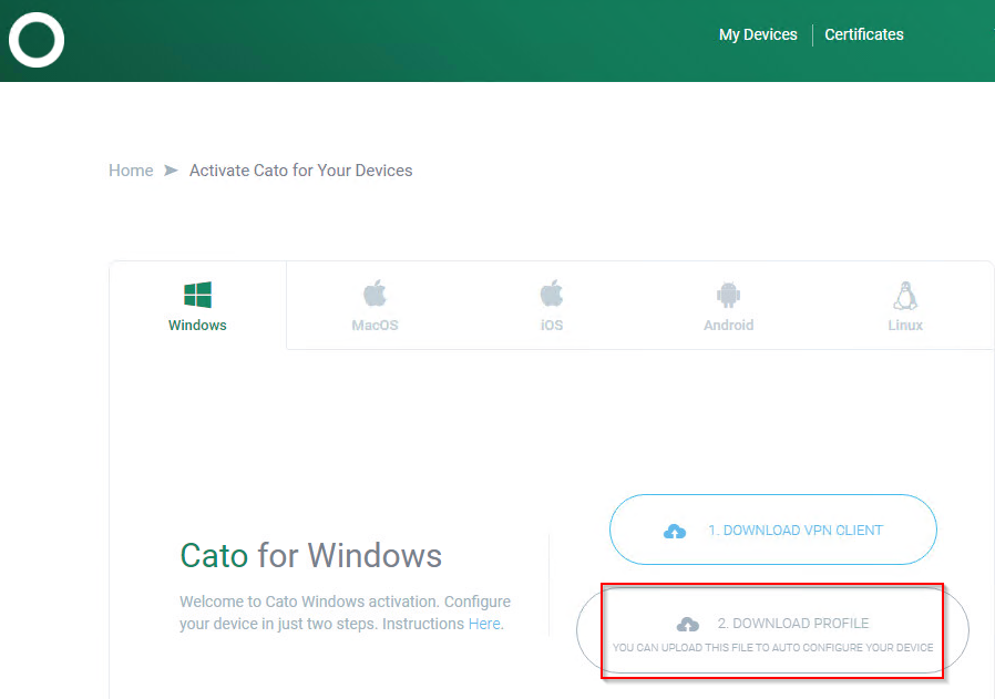 How to install Cato VPN Client for Windows – IIJ America Inc